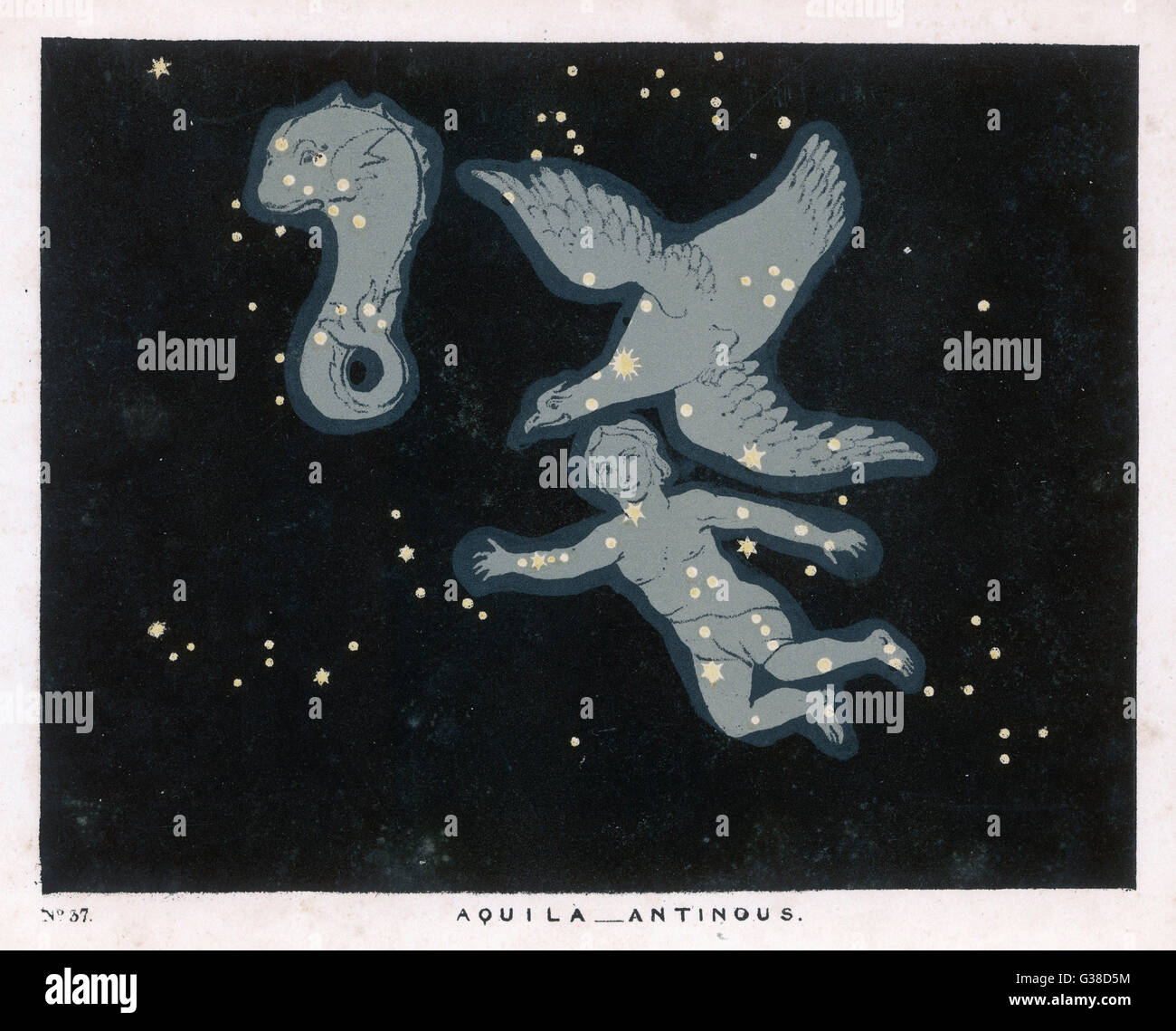 The constellation that aquila antinous date hi-res stock photography ...