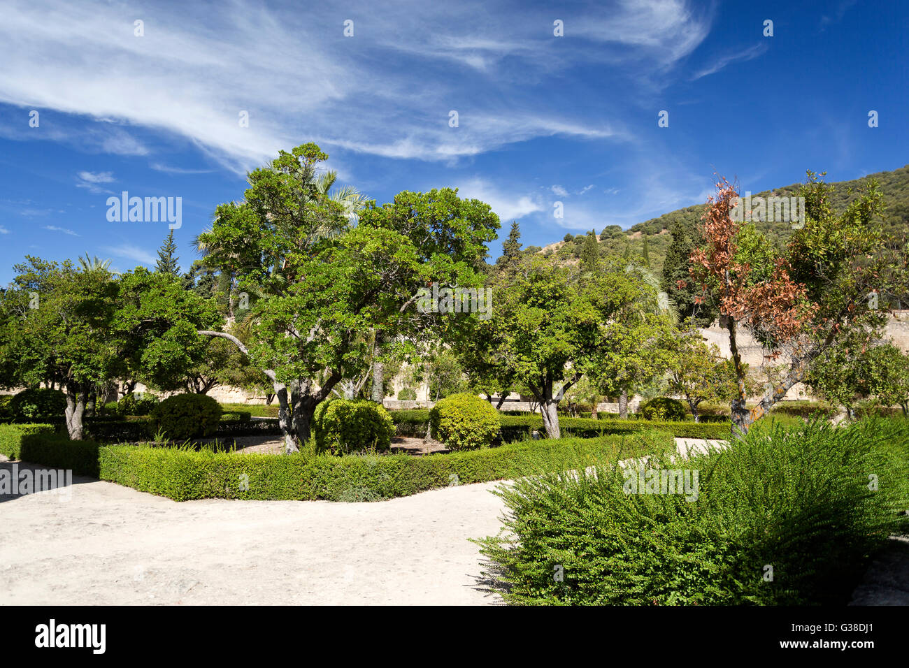 Detail of the Upper Terrace garden at Medina Azahara medieval palace ...