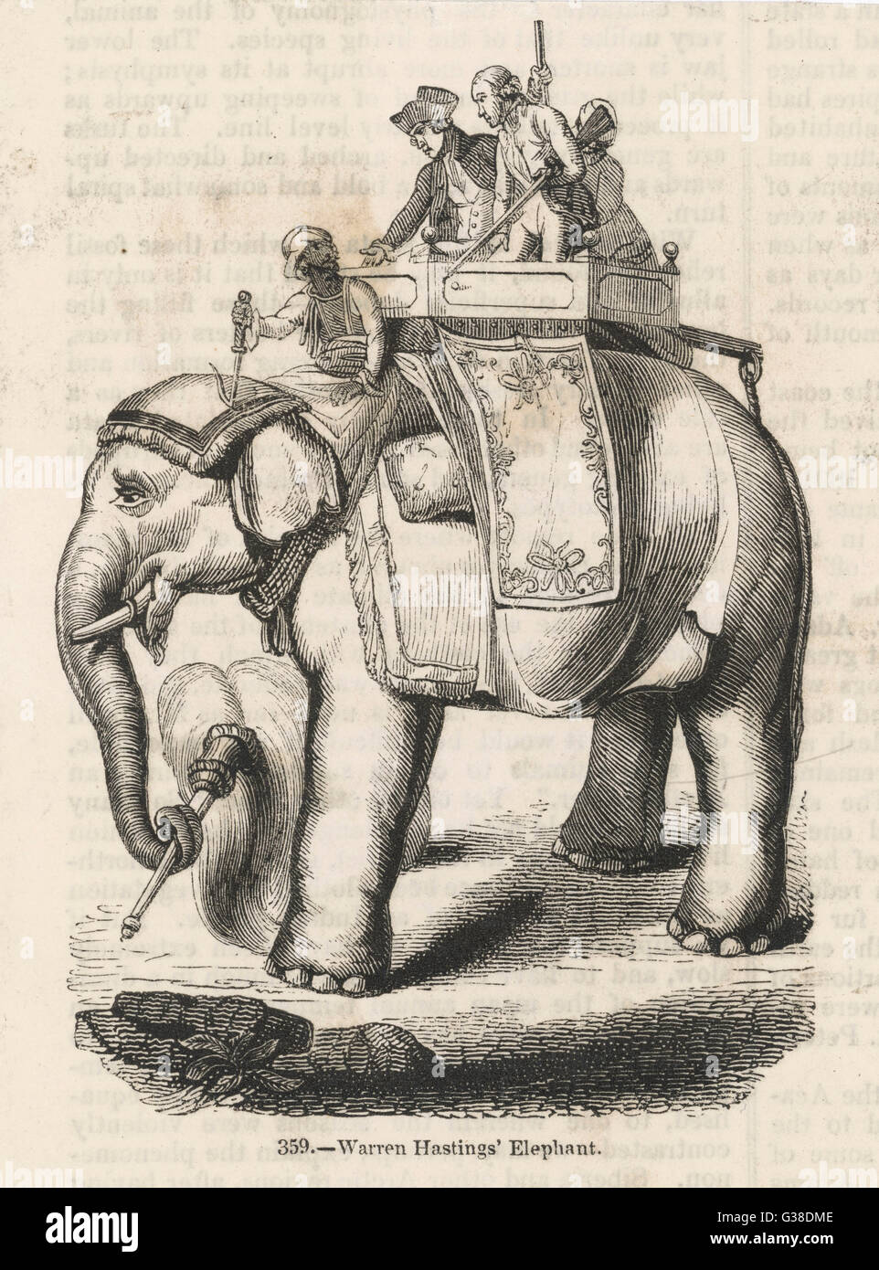 Elephant guns hi-res stock photography and images - Alamy