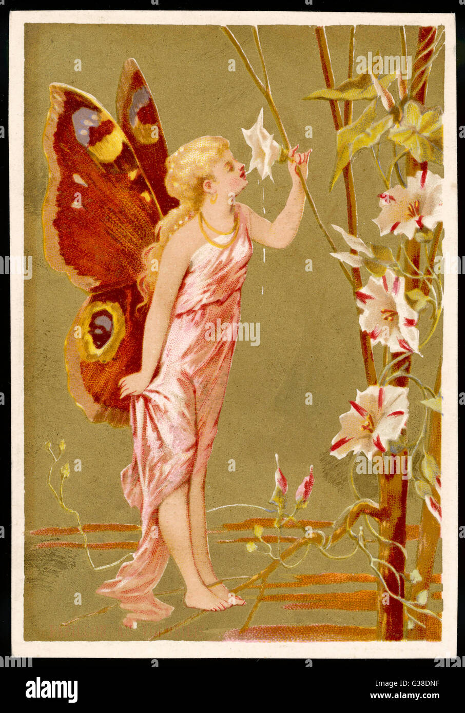 Fairy Smelling a Flower Stock Photo - Alamy