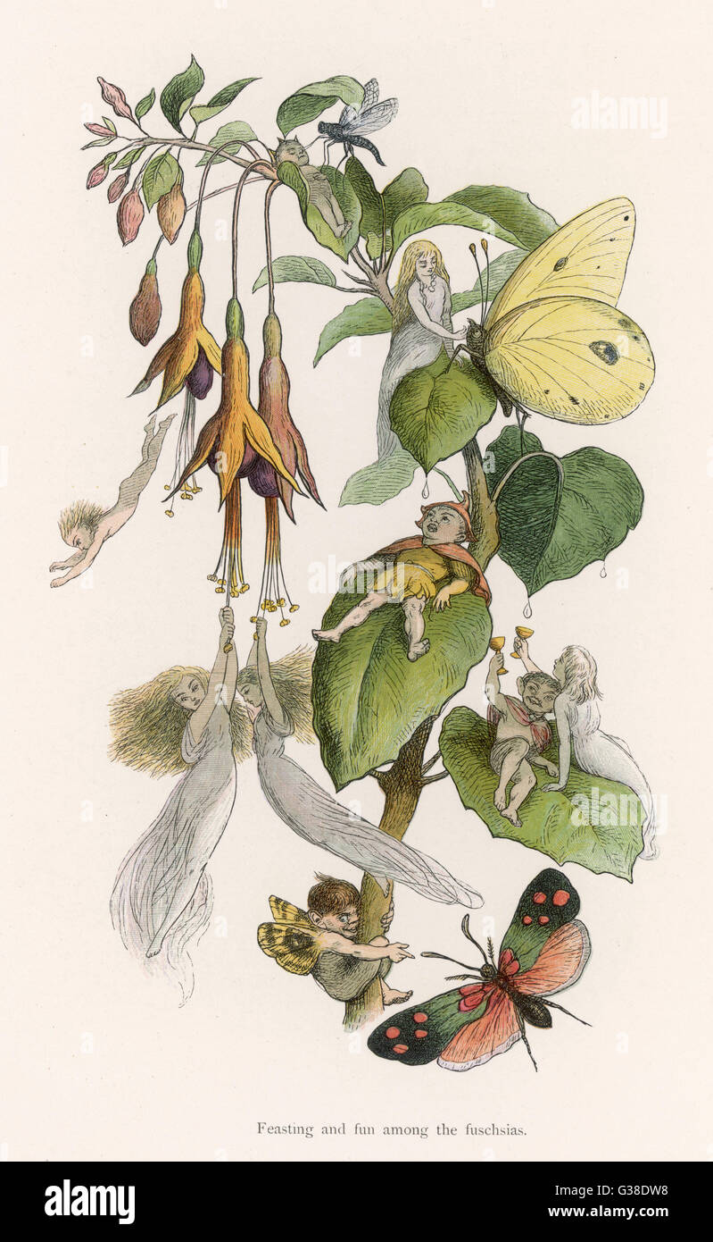 Fairies and Elves Feast Stock Photo - Alamy