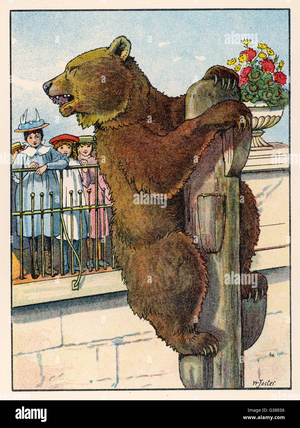 Bear Climbs Pole Stock Photo - Alamy