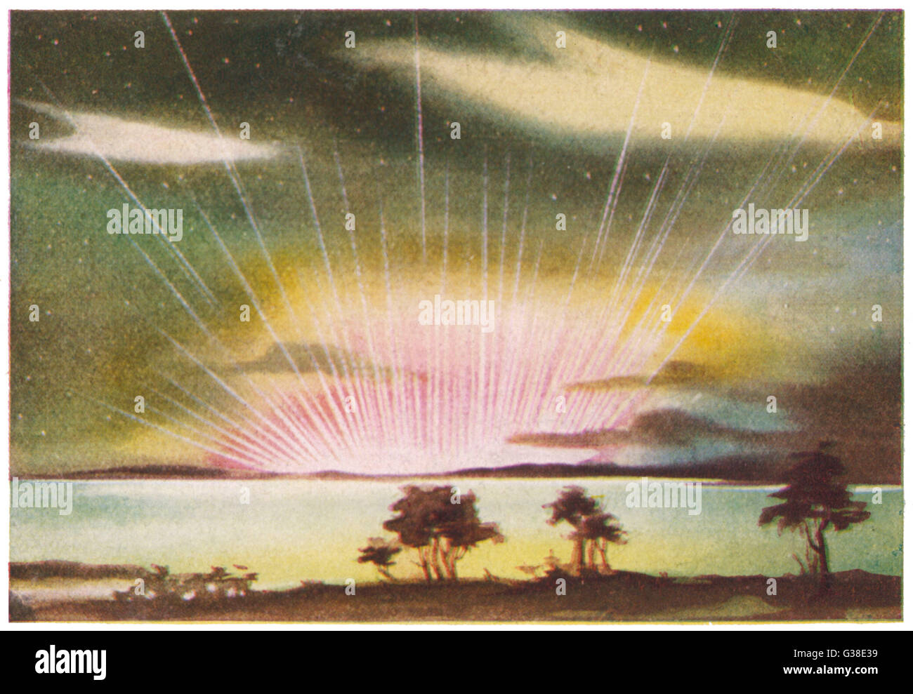 Nocturnal hi-res stock photography and images - Alamy