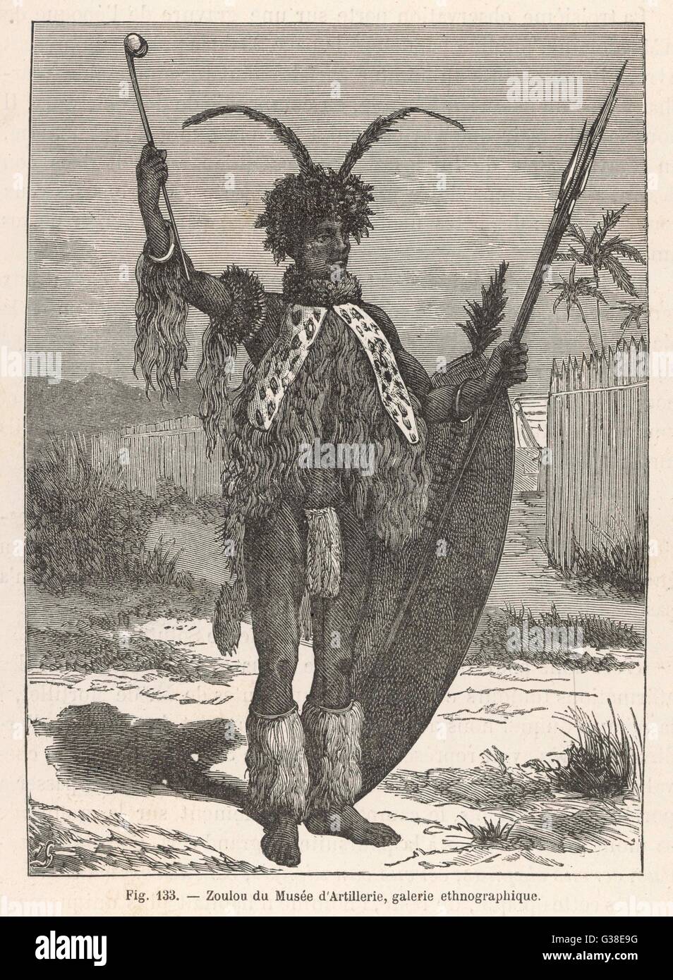 A zulu warrior in traditional attire hi-res stock photography and ...