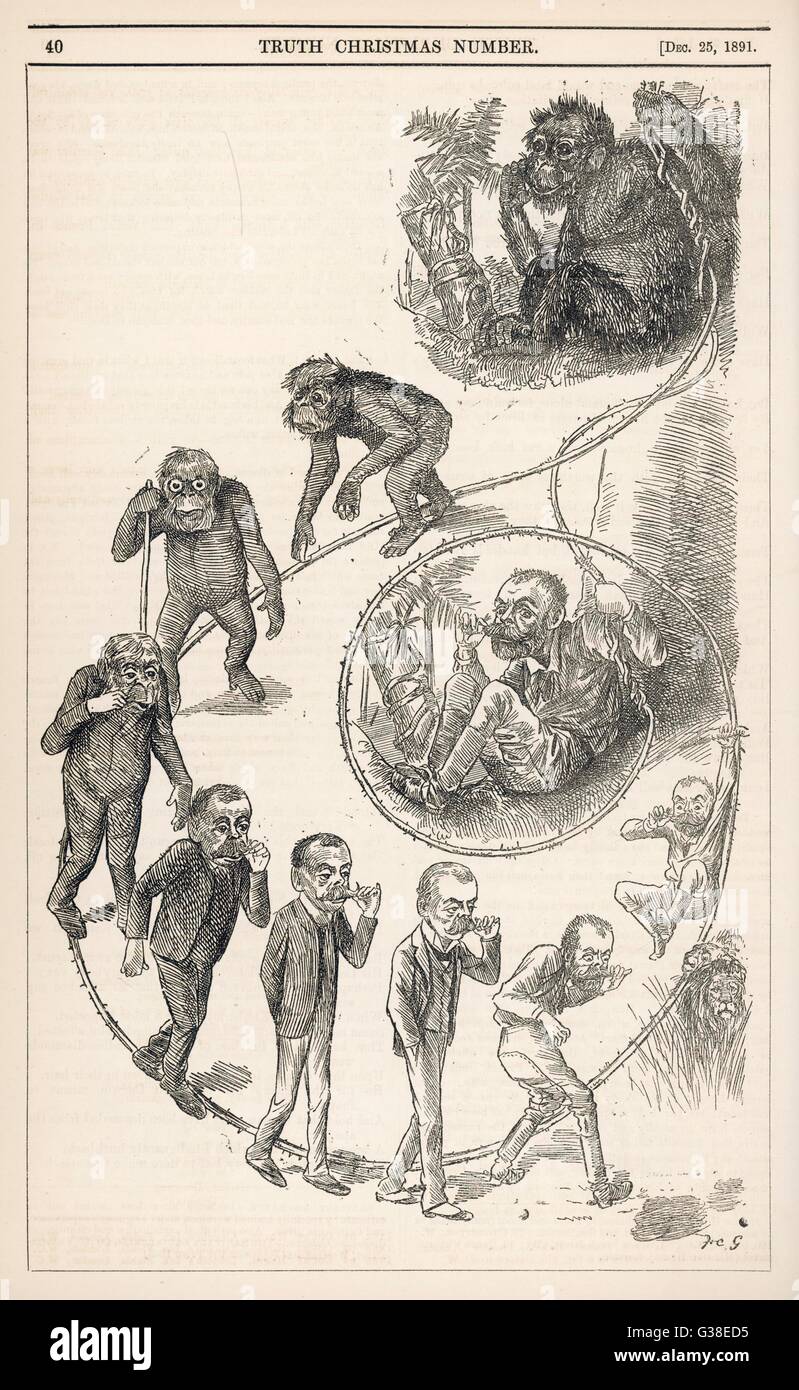Ascent of man evolution ape hi-res stock photography and images - Alamy