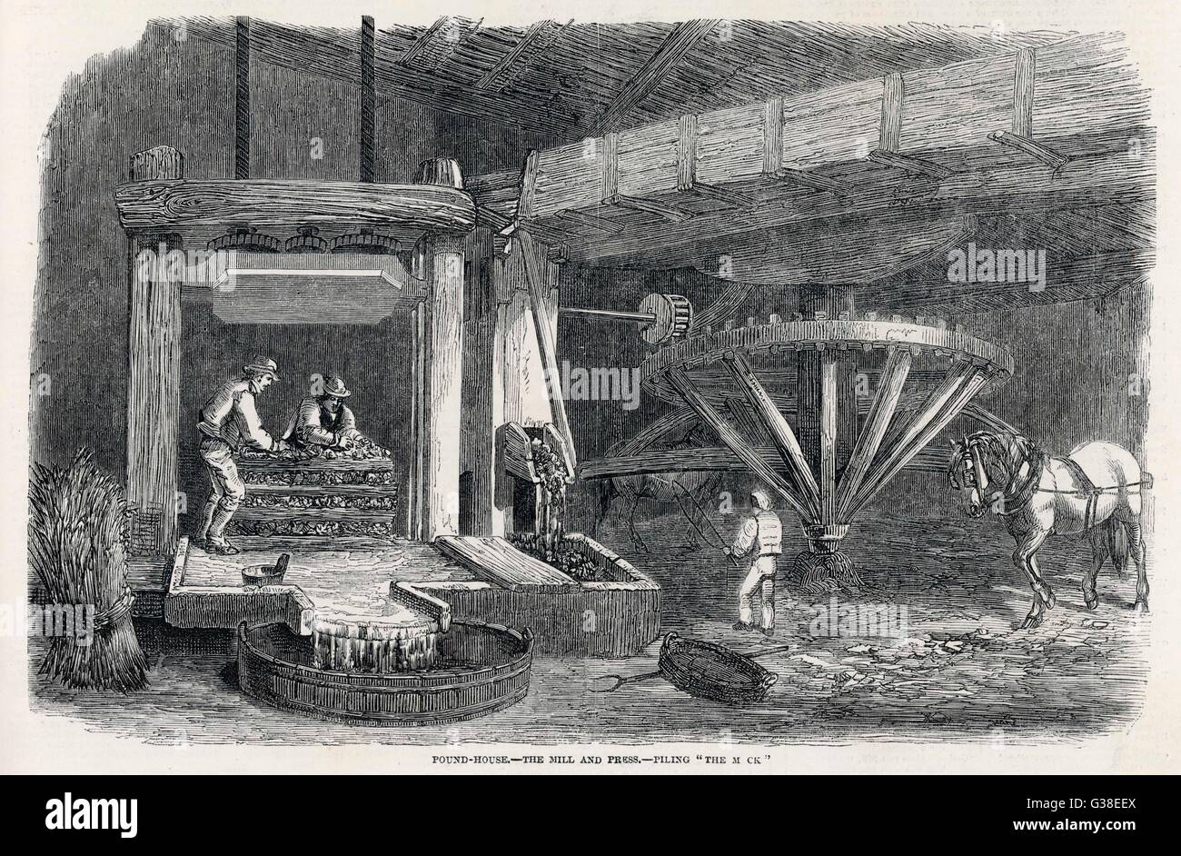 The pound house devon cider farm hi-res stock photography and images ...