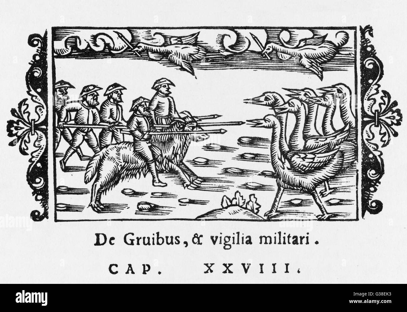 Depiction birds Black and White Stock Photos & Images - Alamy