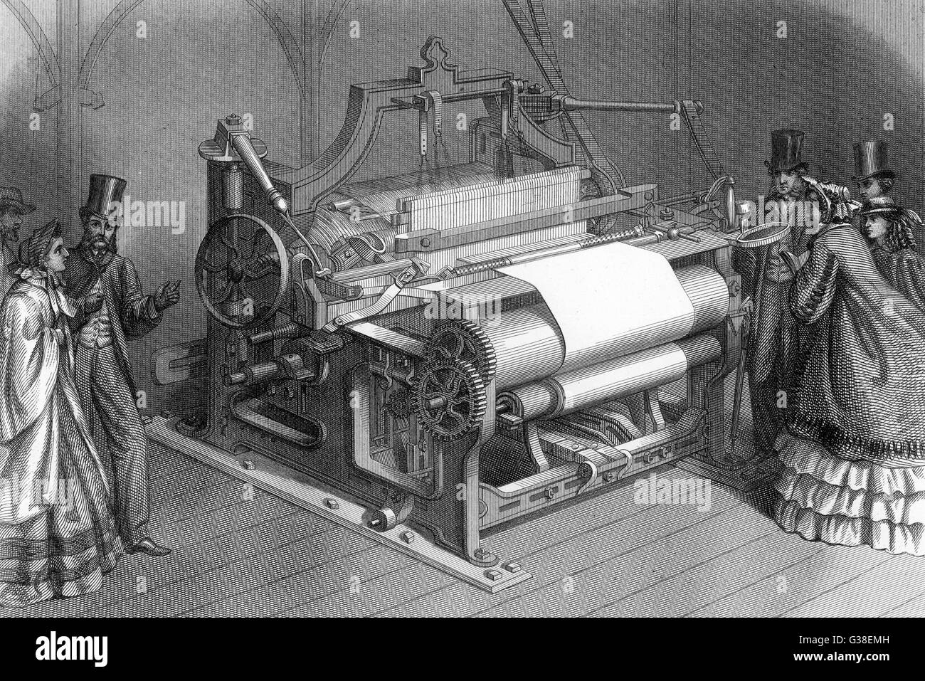 Calico or tricolor Black and White Stock Photos & Images - Alamy