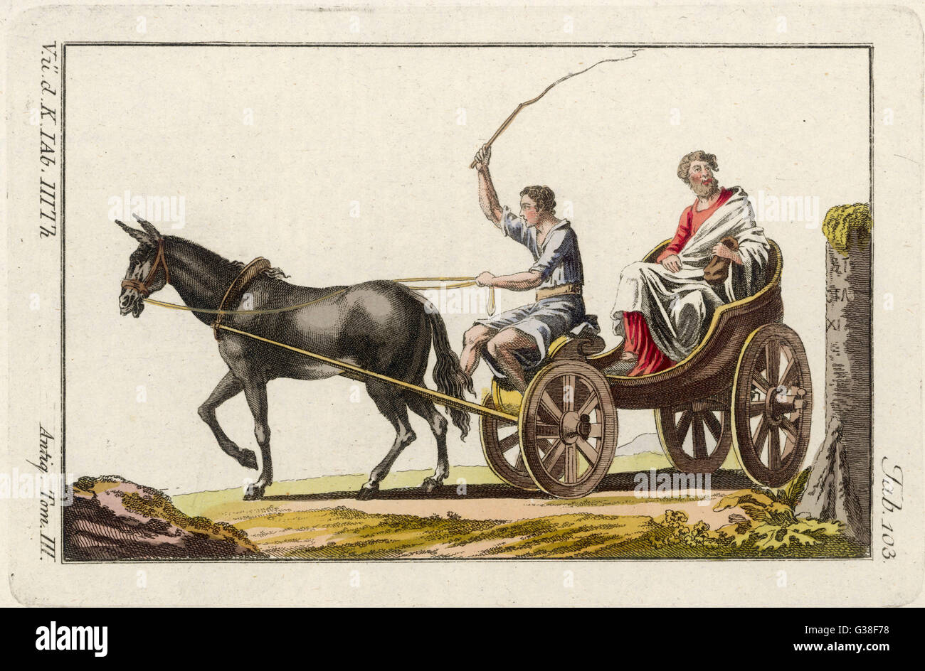 Roman Mule Carriage Stock Photo - Alamy