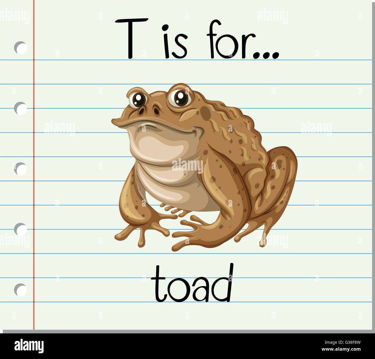 Flashcard letter T is for toad illustration Stock Vector Image & Art ...