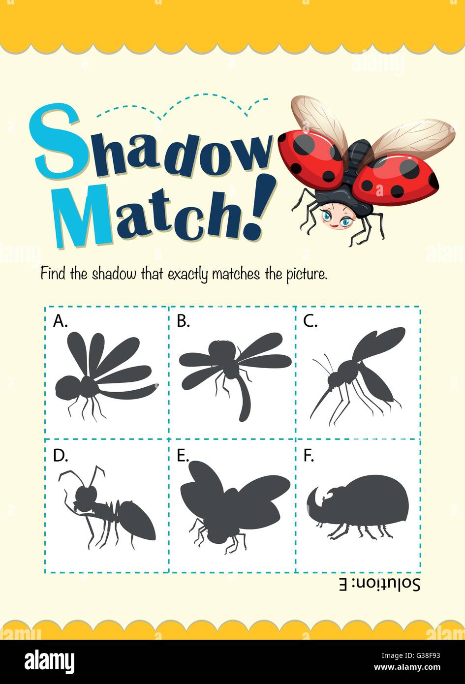 Game template for shadow matching bugs illustration Stock Vector Image ...