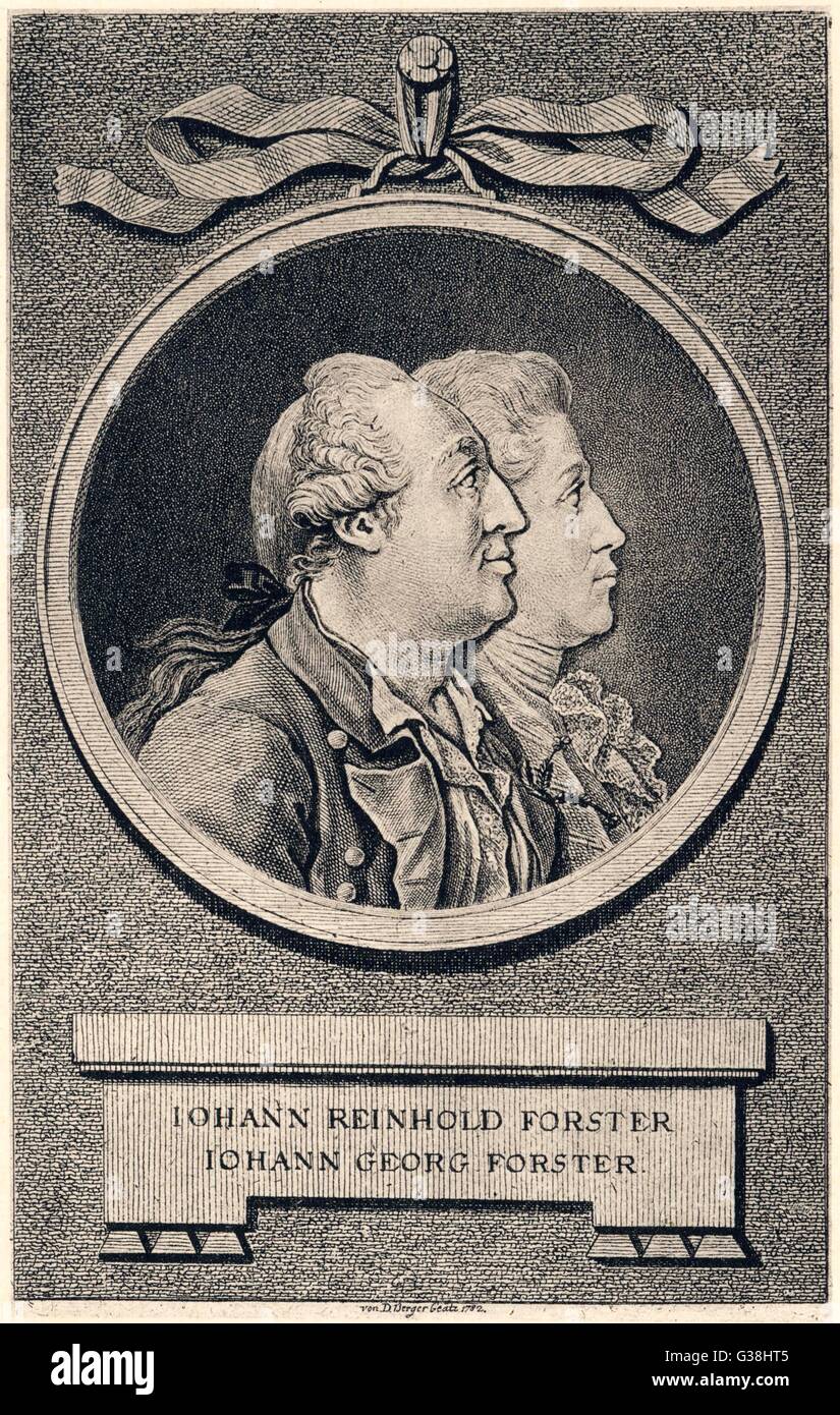 JOHANN & GEORG FORSTER Stock Photo - Alamy