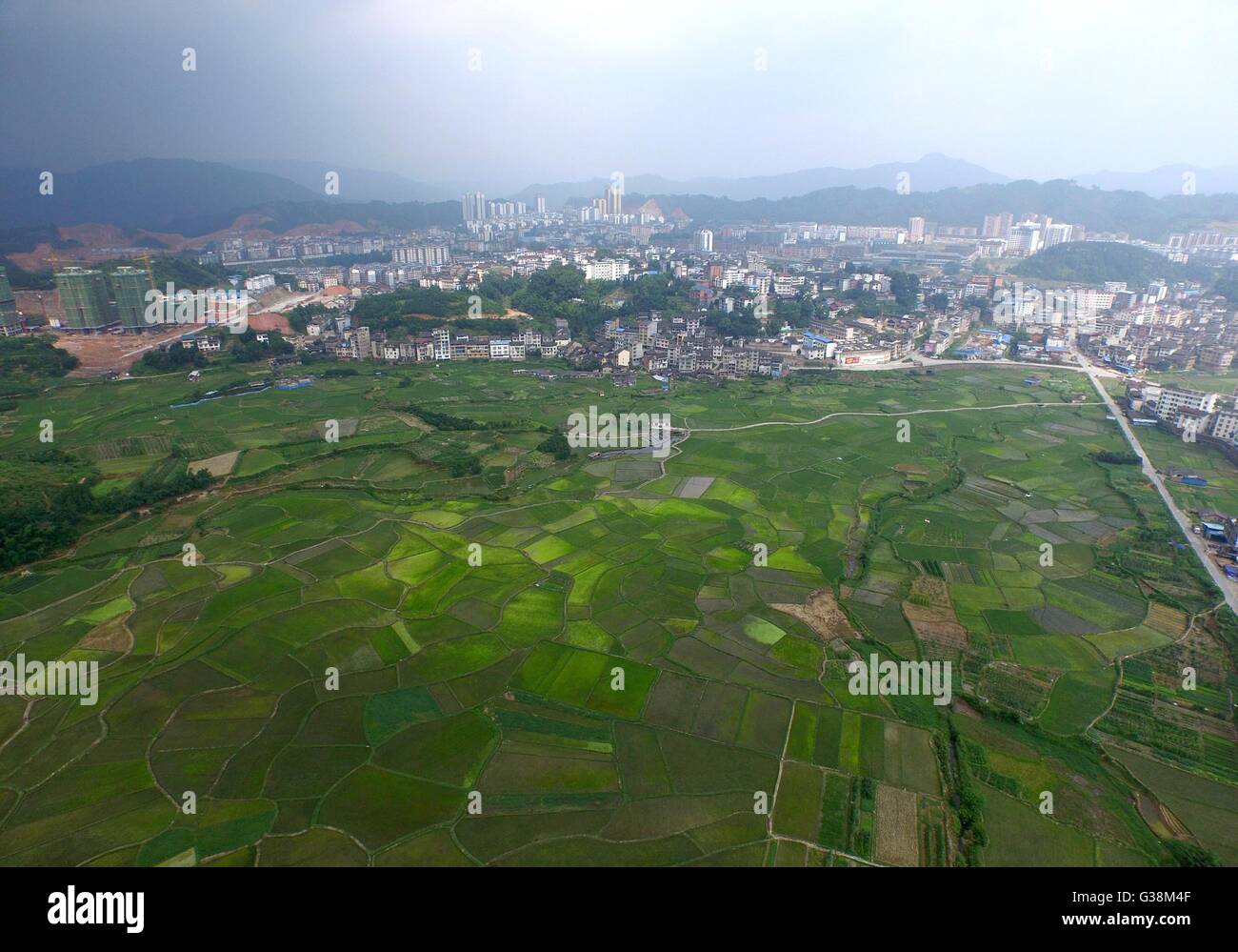 Sanjiang. 9th June, 2016. Aerial photo taken on June 9, 2016 shows rice ...