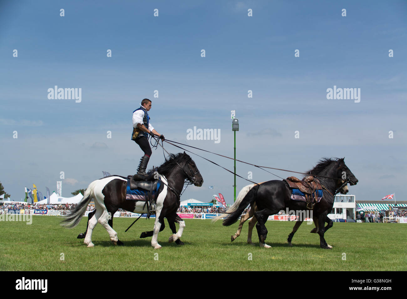 Poldark tv horse hi-res stock photography and images - Alamy