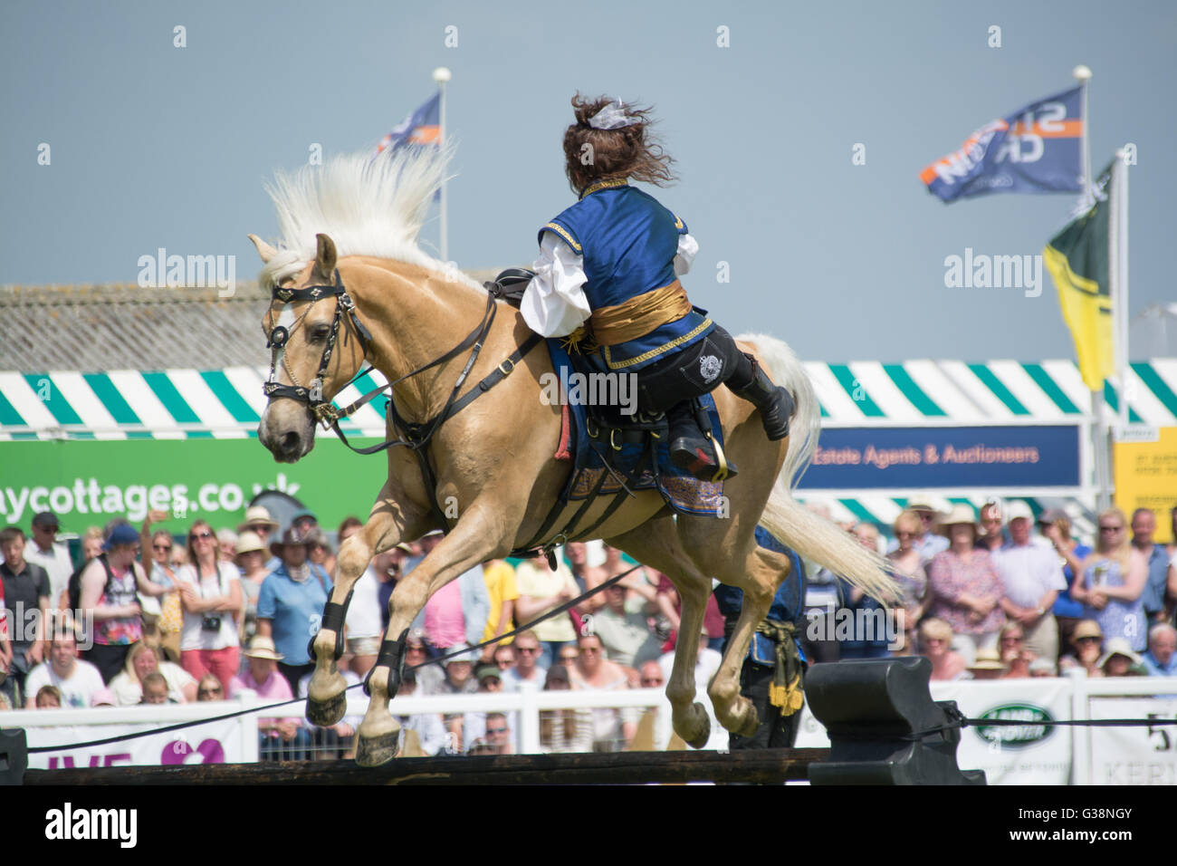 Action horses hi-res stock photography and images - Alamy
