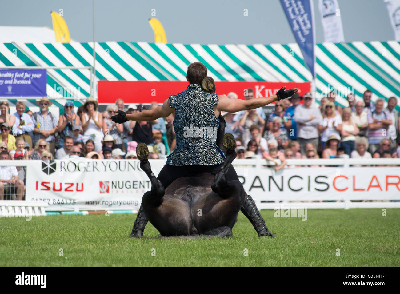 Ben atkinson horse hi-res stock photography and images - Alamy
