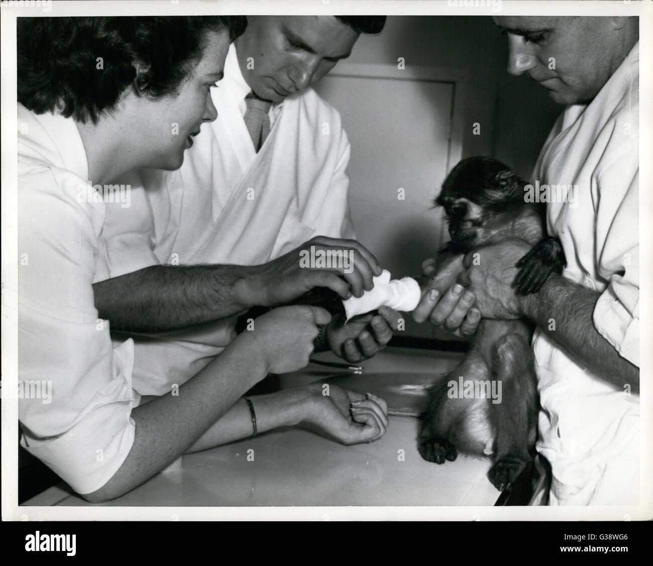 Monkey doctor hi-res stock photography and images - Alamy