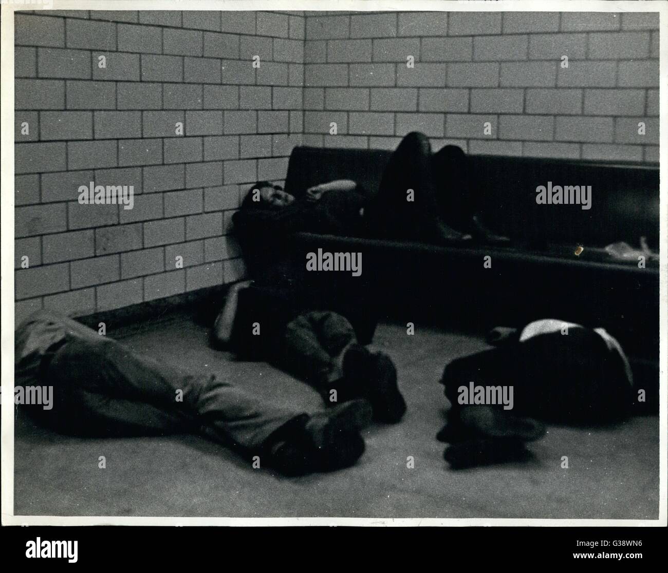 Drunk tank hi-res stock photography and images - Alamy