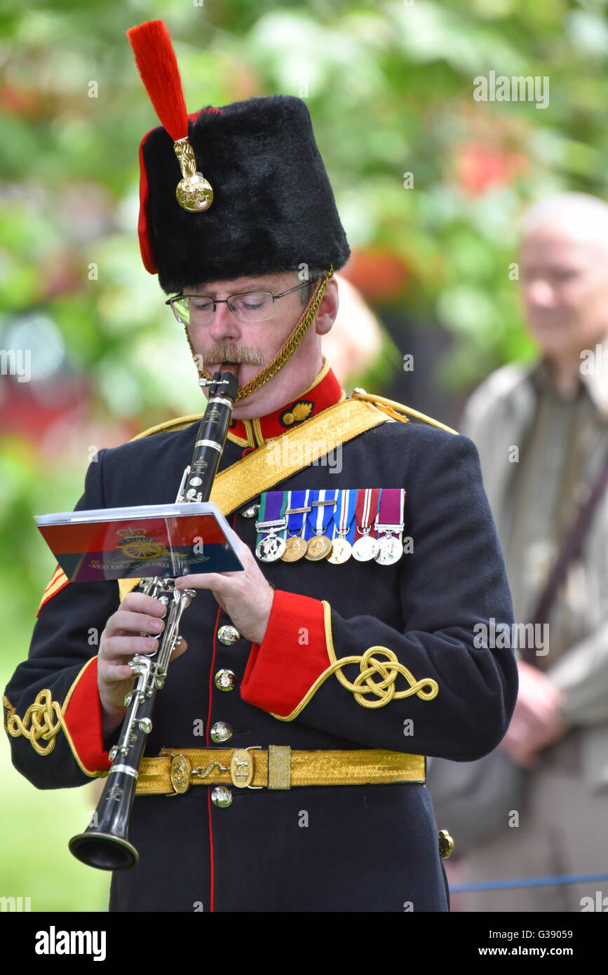 Hyde Park, London, UK. 10th June 2016. Gun Salute to mark 95th birthday ...