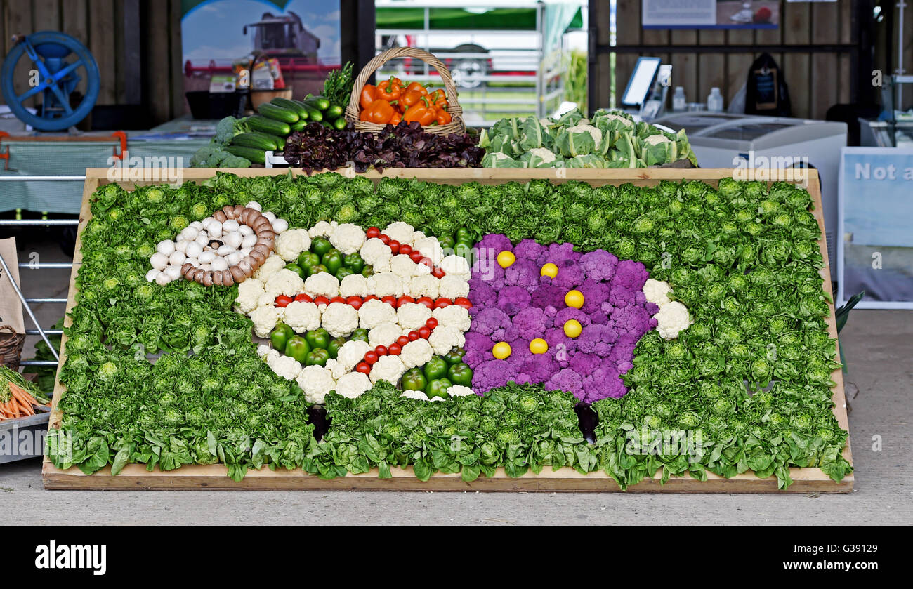 Uk news collage hi-res stock photography and images - Alamy