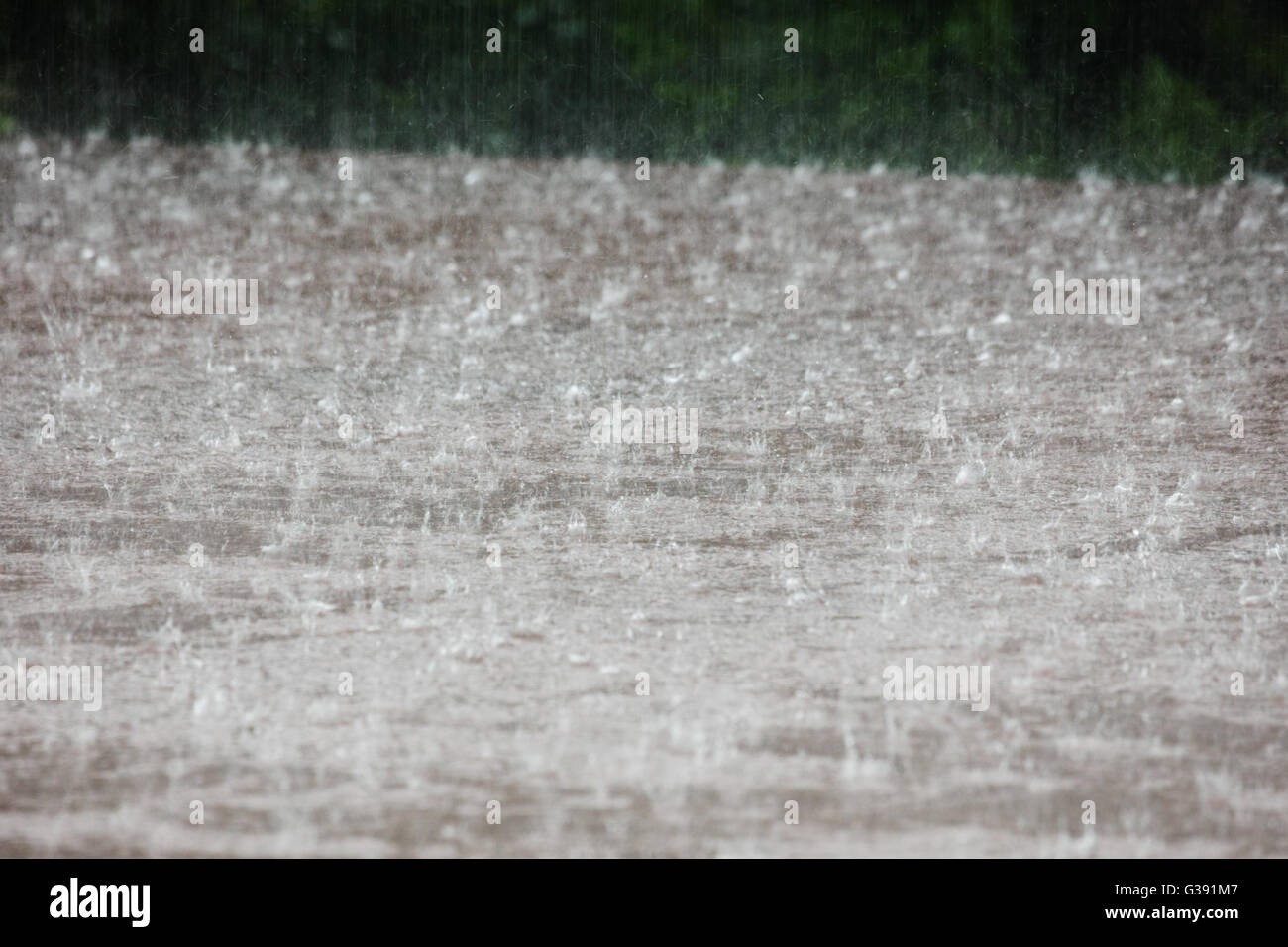 Torrential tropical rainfall hi-res stock photography and images - Alamy