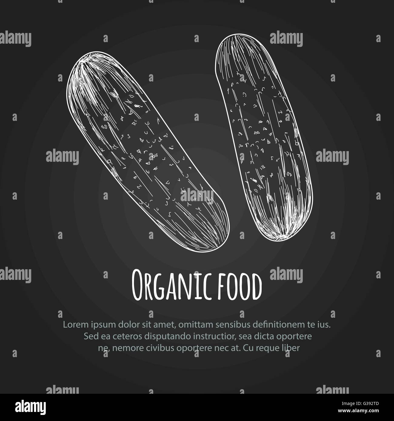 Hand drawn cucumber over white background Stock Vector Image & Art - Alamy