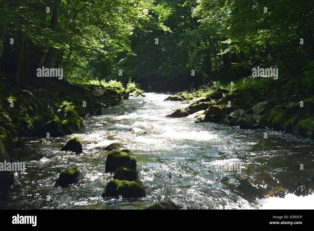 River Schwarza, Thuringia, Germany Stock Photo - Alamy