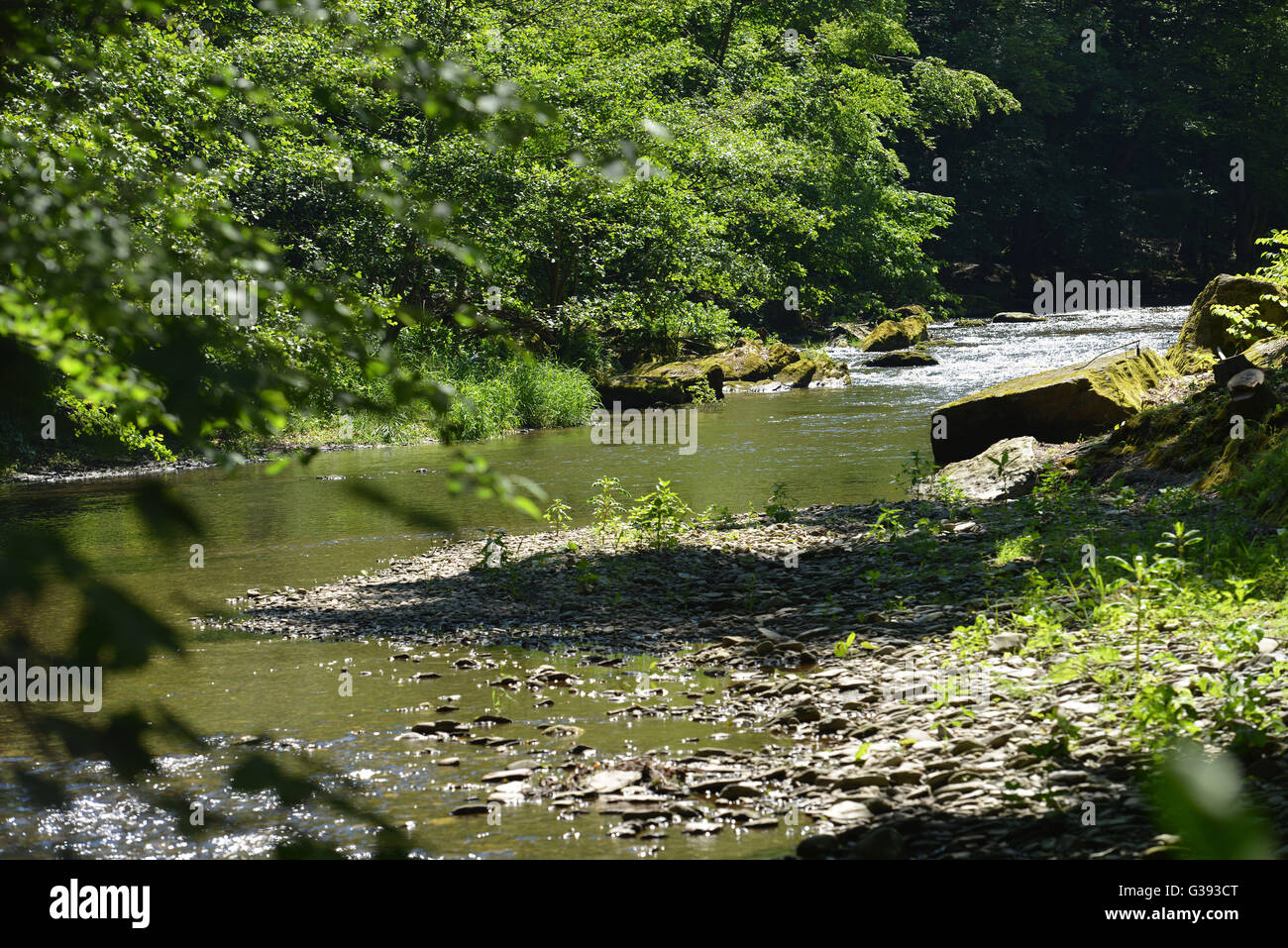 River Schwarza, Thuringia, Germany Stock Photo - Alamy