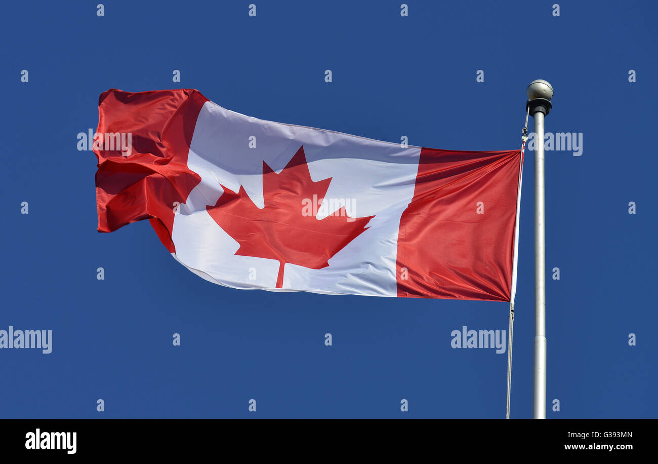 Canada flag toronto hi-res stock photography and images - Alamy