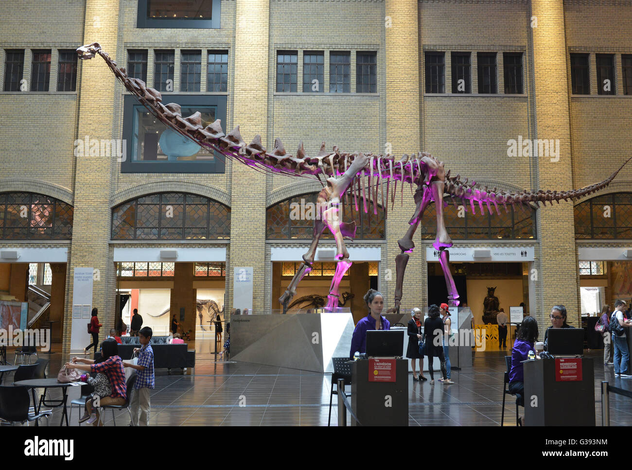 Royal ontario museum hi-res stock photography and images - Alamy