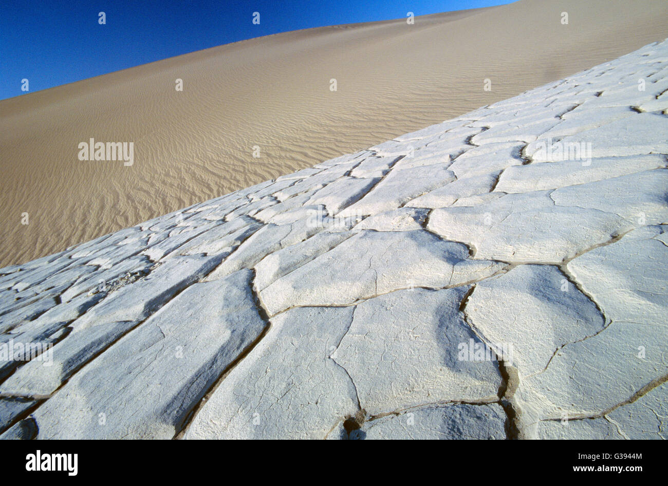 Cracks in mud and sand dunes, Death Valley National Park, California, U ...