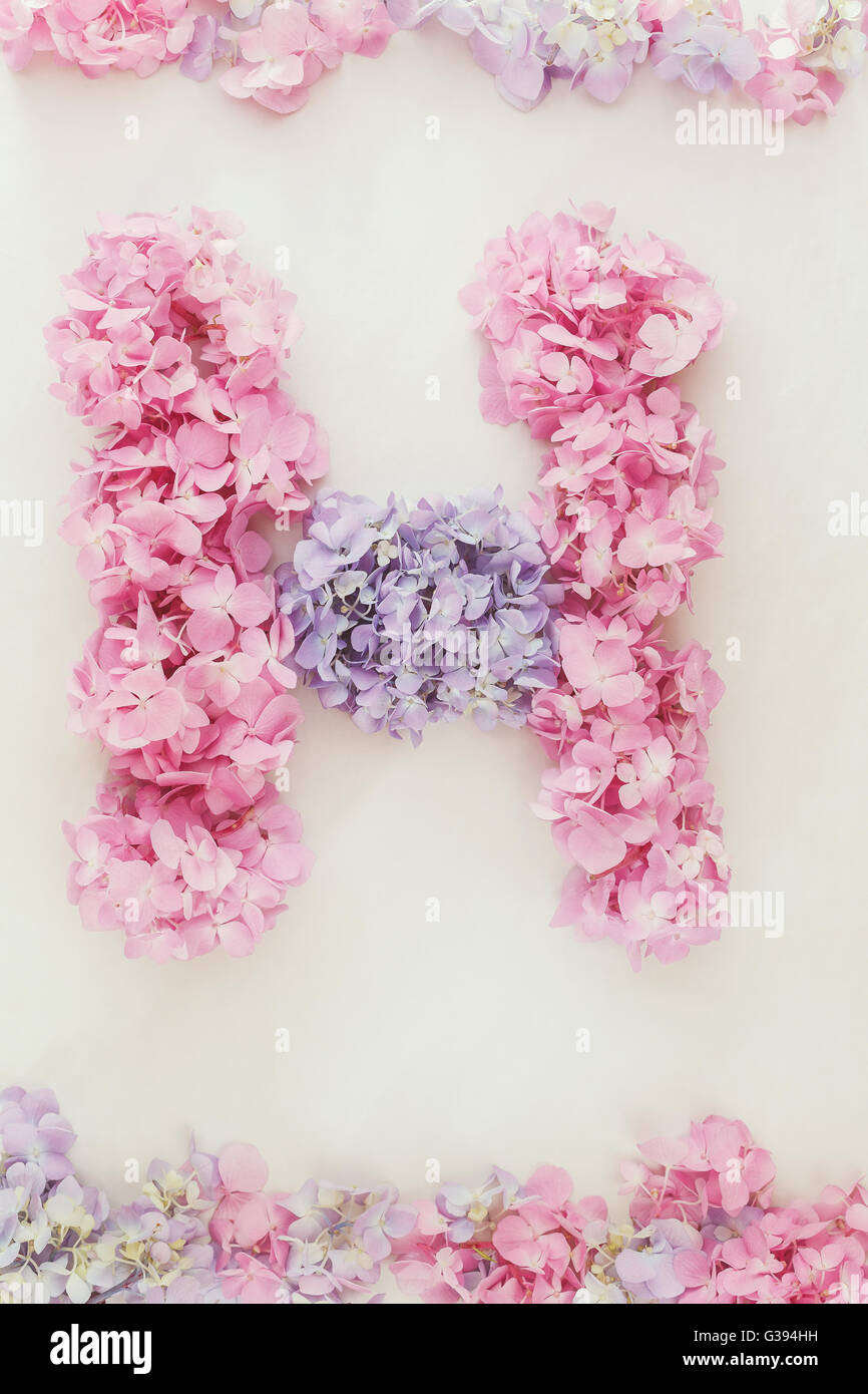 Letter h flowers hi-res stock photography and images - Alamy