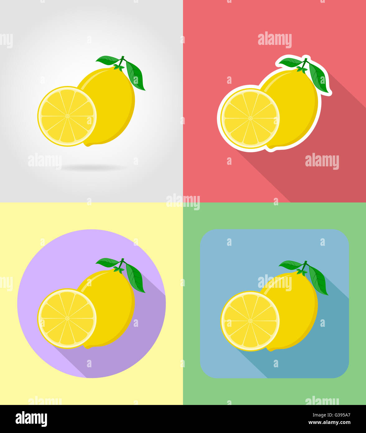 lemon fruits flat set icons with the shadow illustration isolated on ...