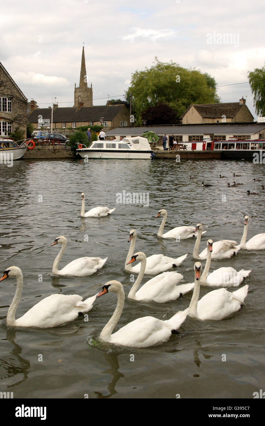 The Cotswolds. Swans on the River Thames at Lechlade, with the parish ...