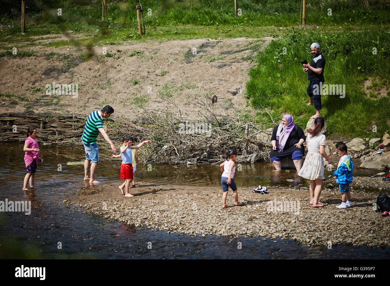 Reddish Vale Stockport country park paddling dipping large horse ...