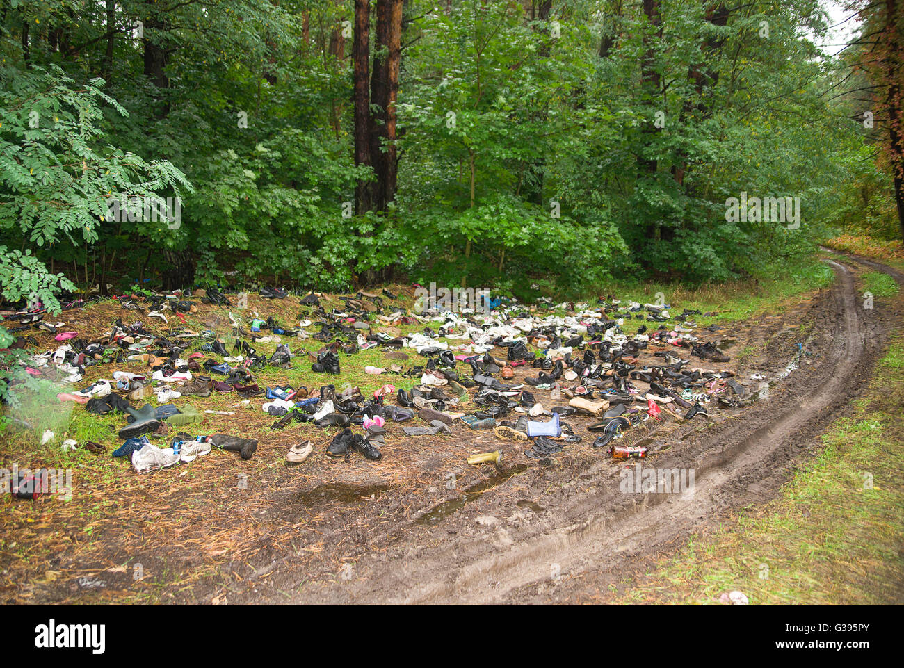 A lot of garbage in the forest Stock Photo - Alamy
