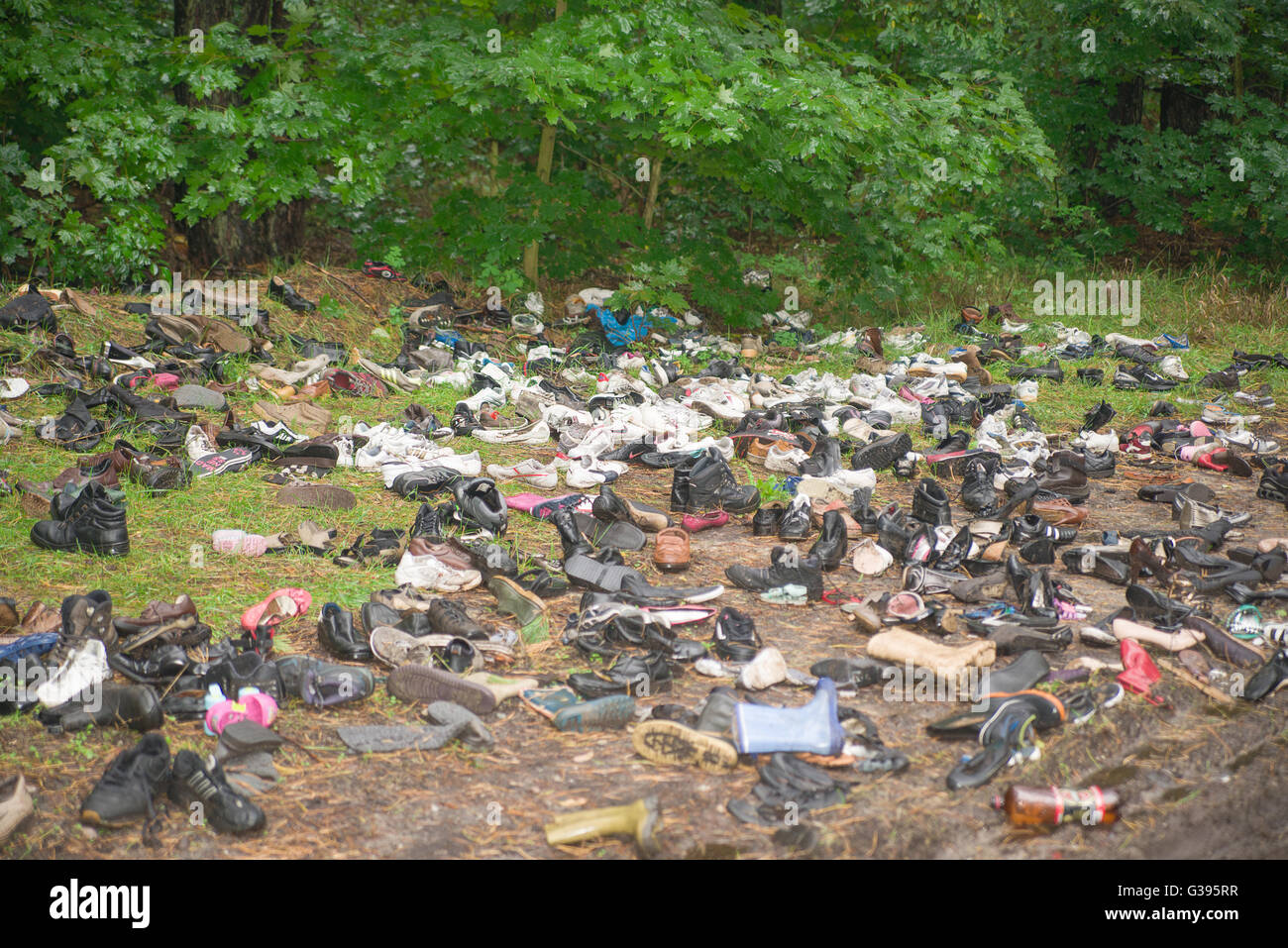 A lot of garbage in the forest Stock Photo - Alamy