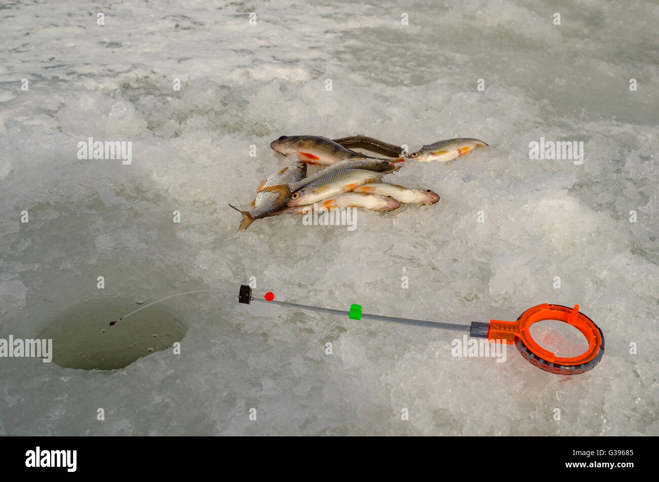 Ice fishing in early spring in Central Russia Stock Photo - Alamy