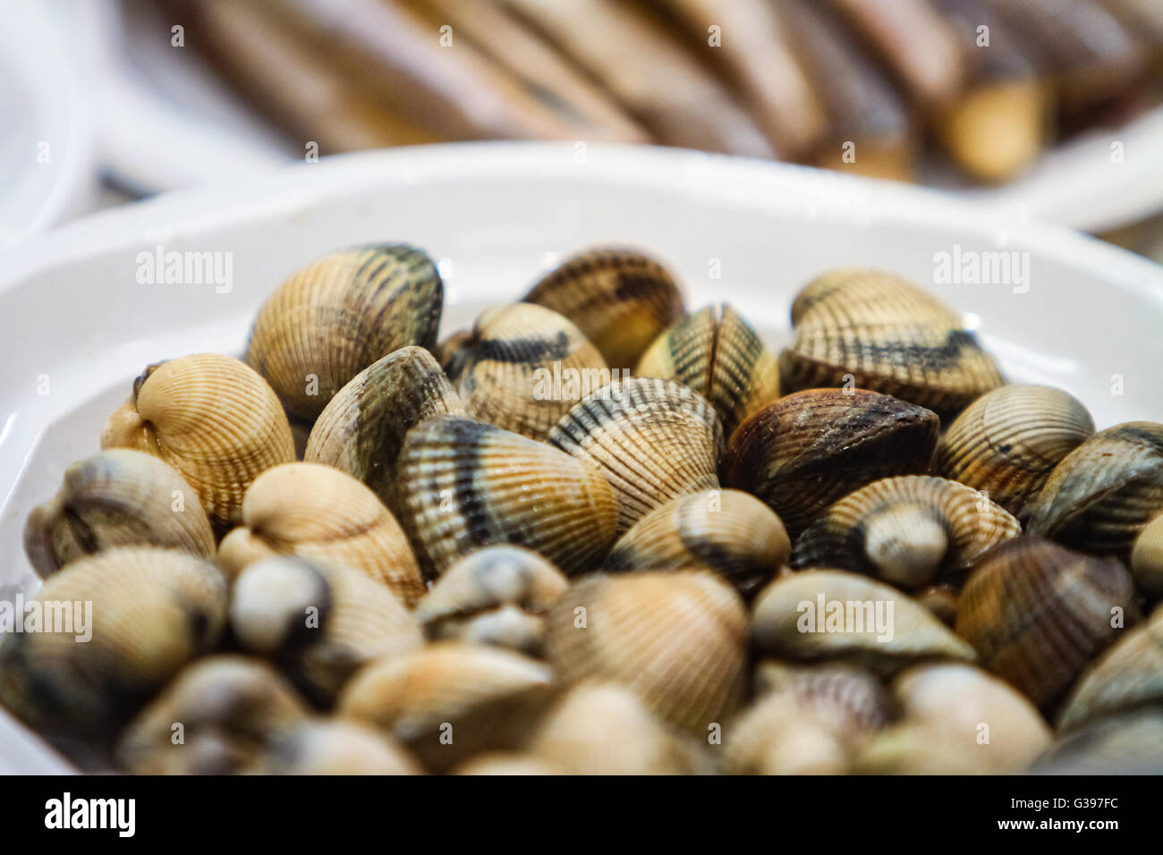 Close up view at the raw clams on plate Stock Photo - Alamy