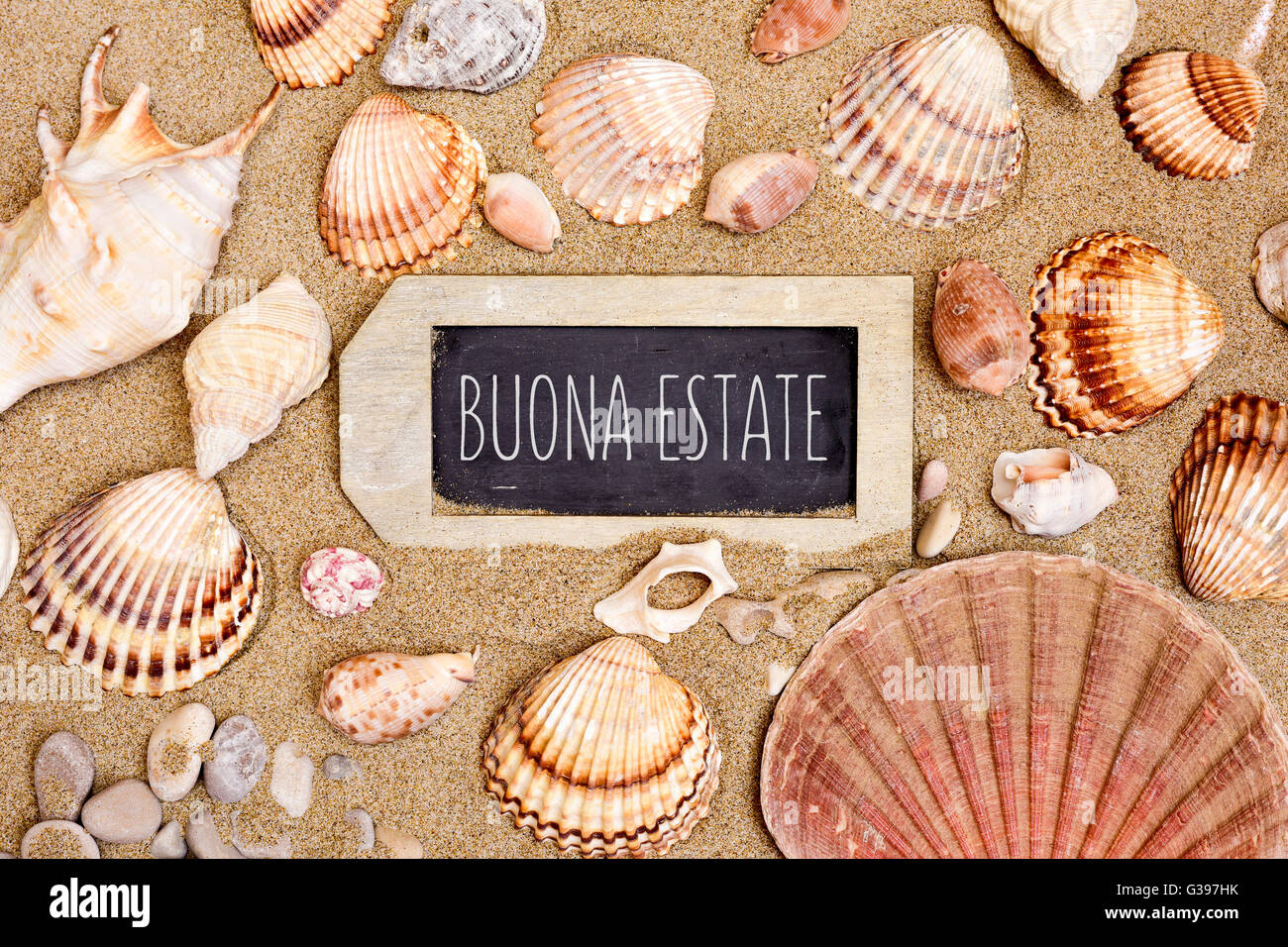 high-angle shot of the sand of a beach full of different seashells and ...