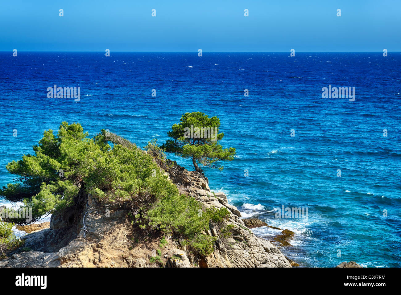 Mediterranean pine trees rocky hi-res stock photography and images - Alamy