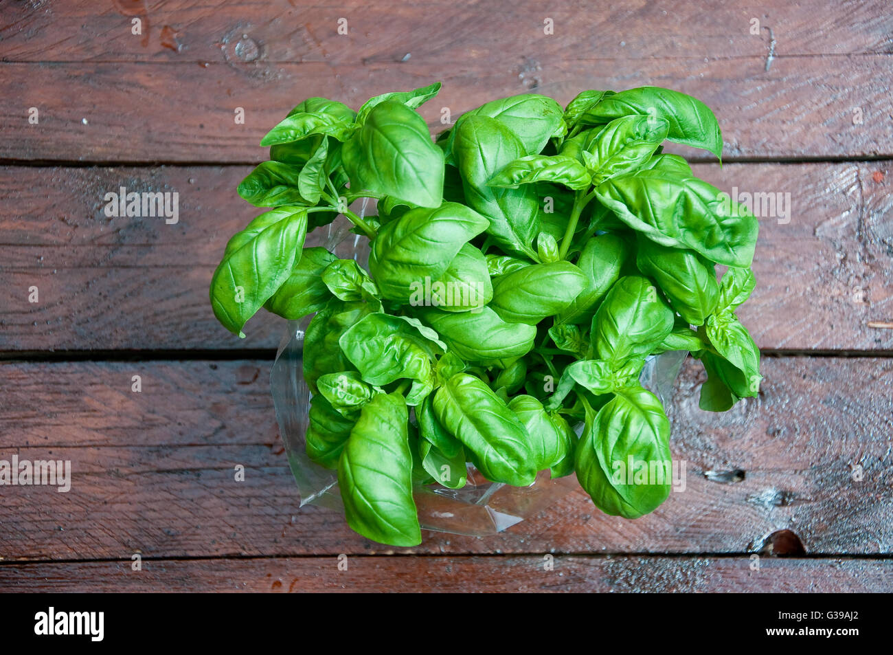 beautiful basil plant on wooden background Stock Photo - Alamy