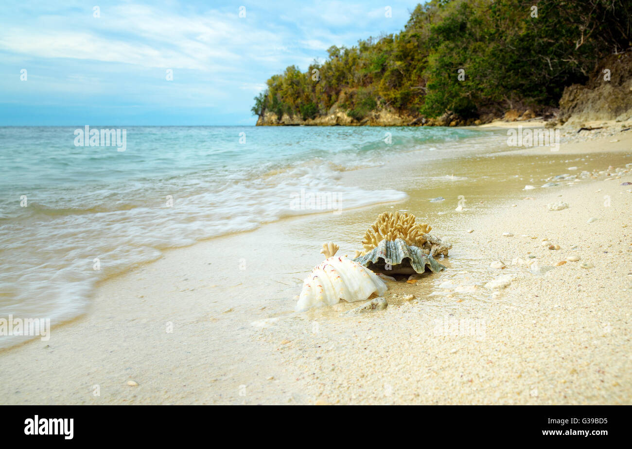 Shell sand beach indonesia hi-res stock photography and images - Alamy