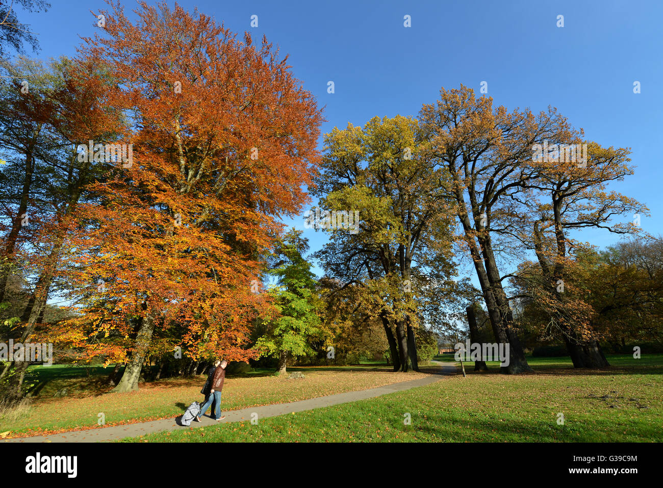 Berlin buch hi-res stock photography and images - Alamy