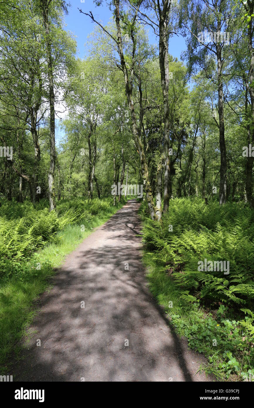 Loch leven heritage trail hi-res stock photography and images - Alamy