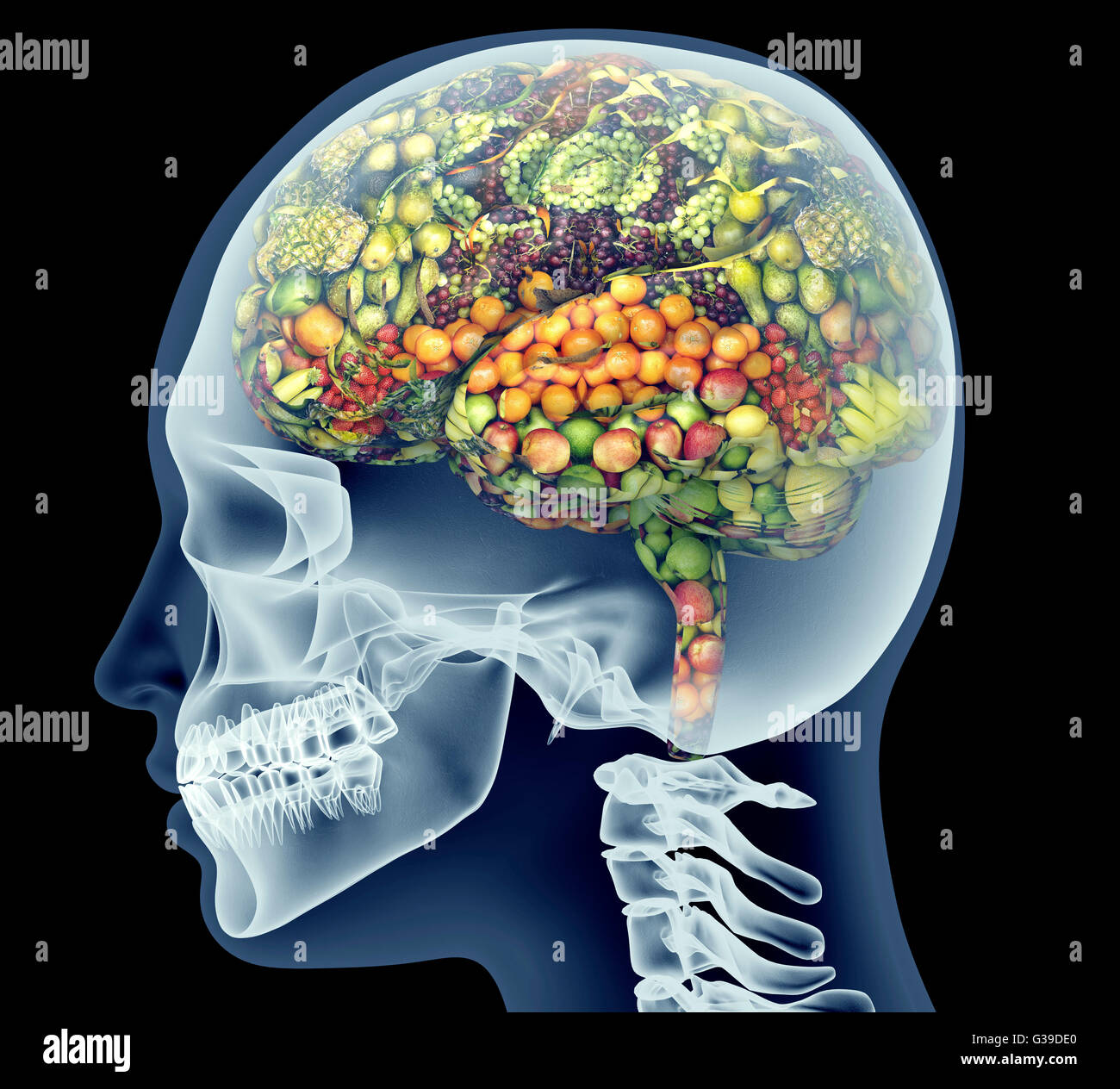 x-ray of human head with fruit and vegetables for brain Stock Photo - Alamy