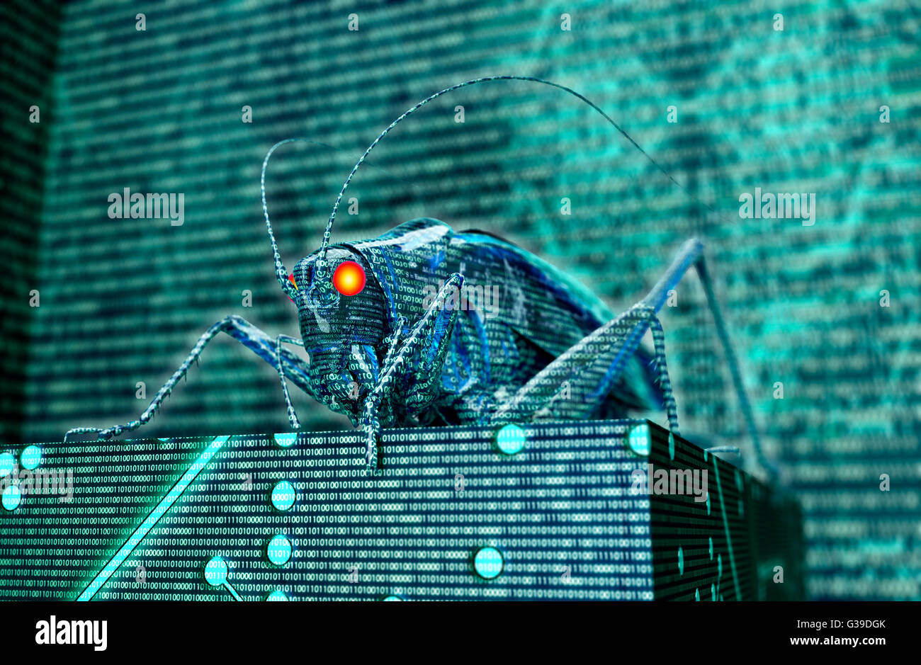 Cicada illustration hi-res stock photography and images - Alamy