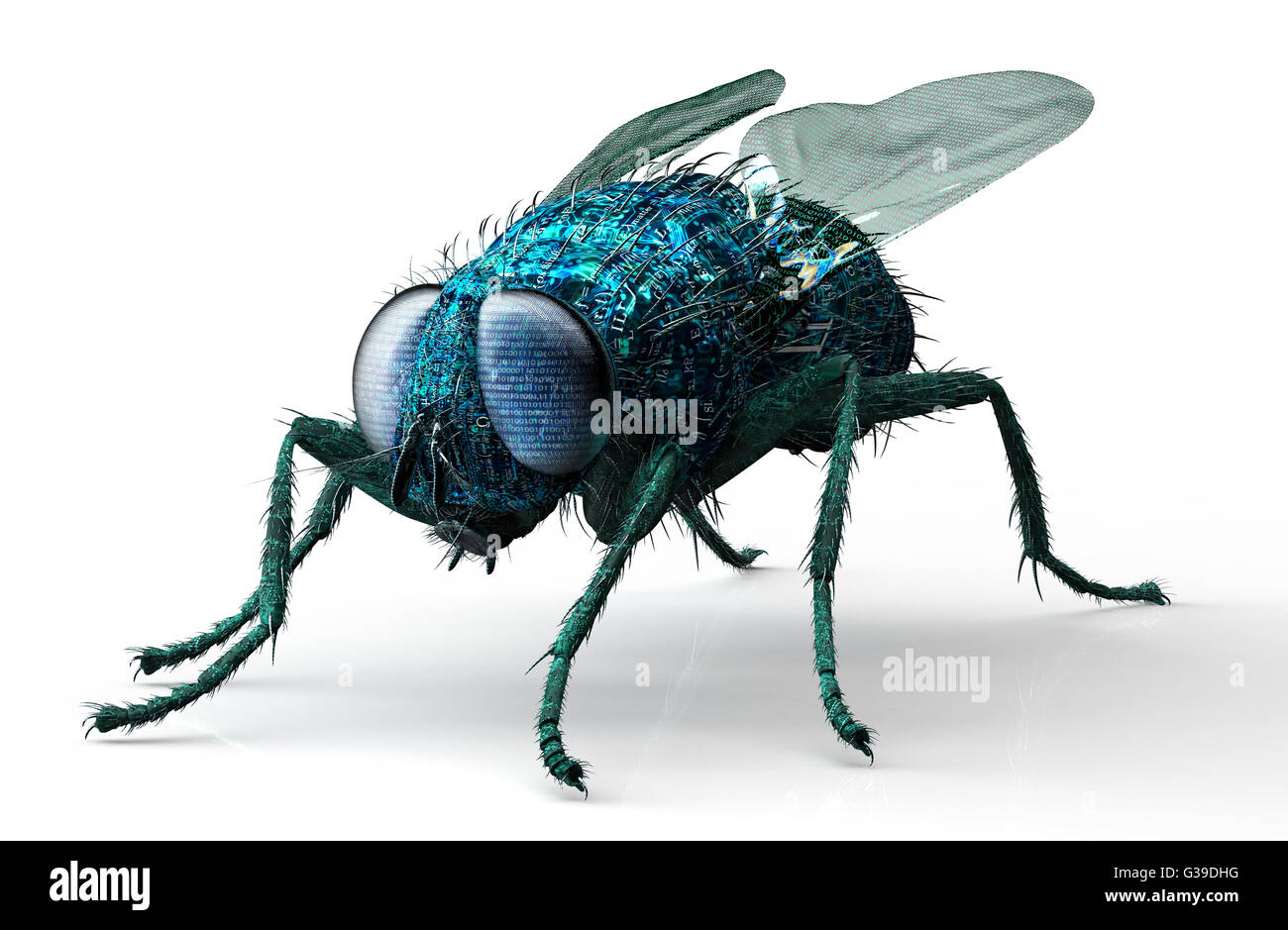 digital safety concept computer bug isolated on white Stock Photo - Alamy