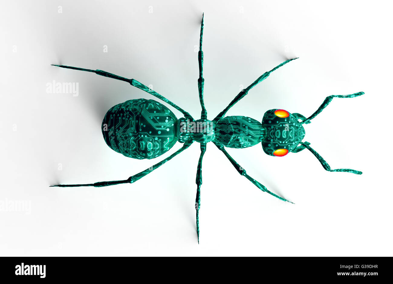digital safety concept computer bug isolated on white Stock Photo - Alamy