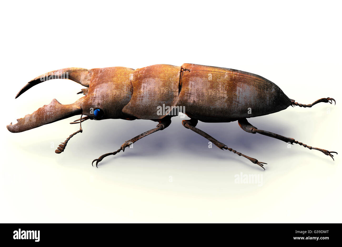 metal robot insect isolated on white with clipping path, 3D ...